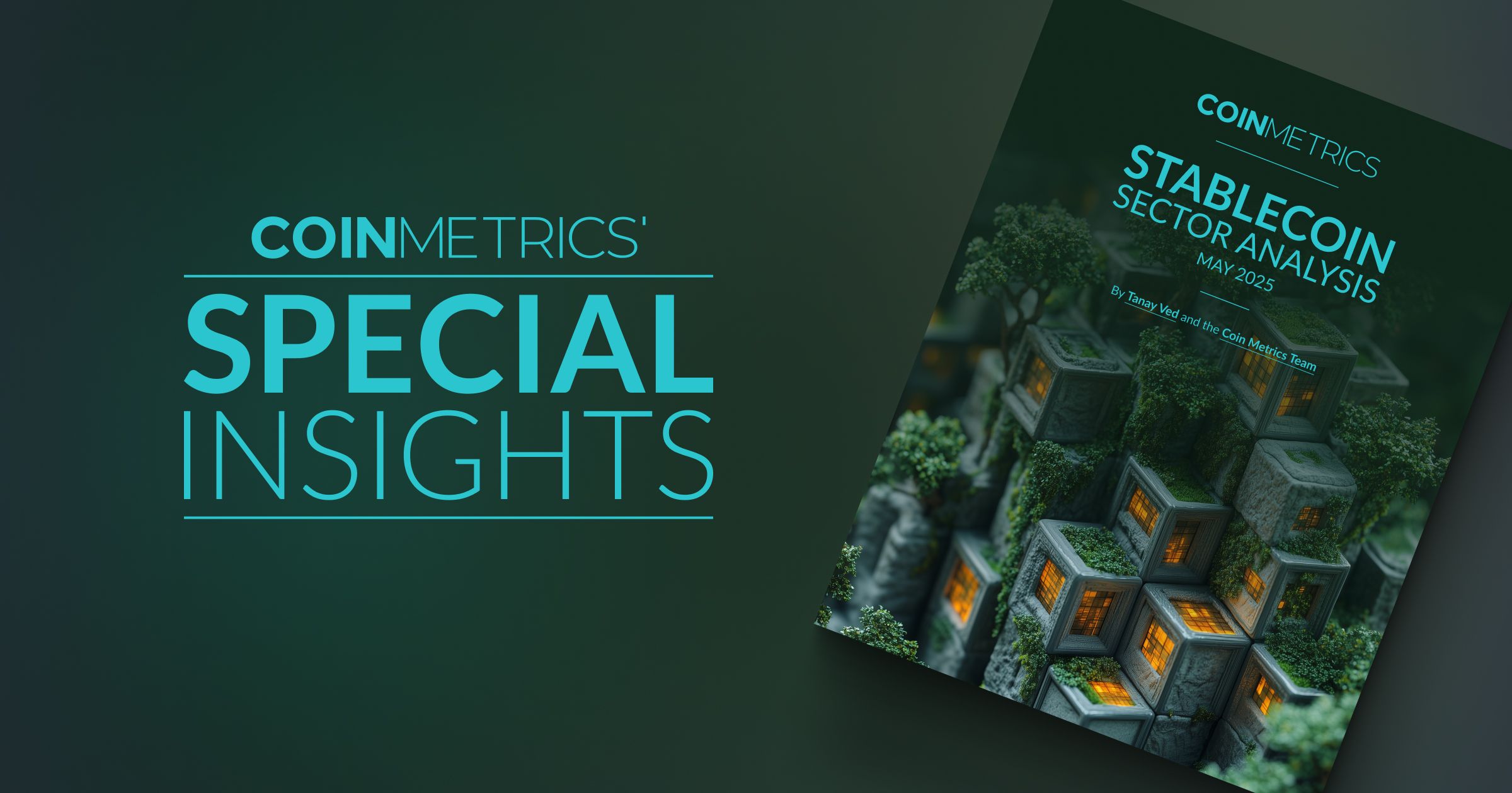 Stablecoin Sector Analysis - Coin Metrics